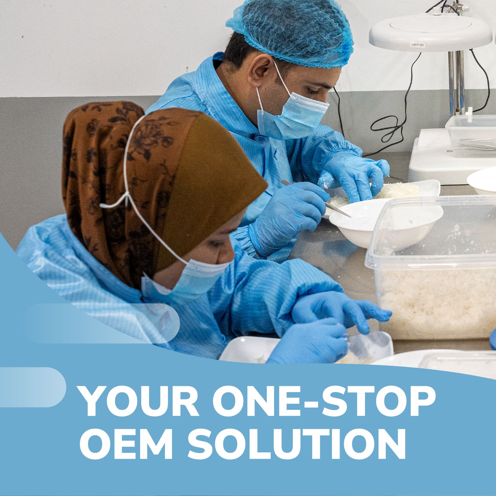 6 Steps To Choose A Reliable Bird Nest OEM In Malaysia